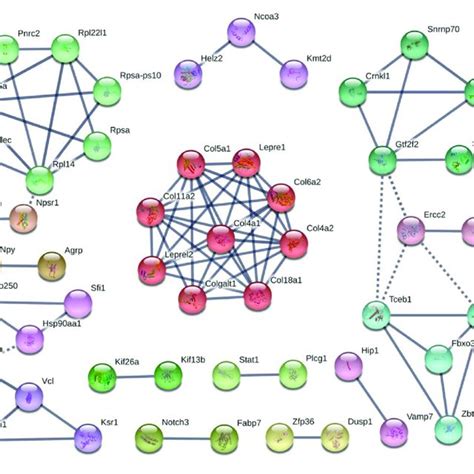 Protein Protein Interaction Network Construction And Module Analysis