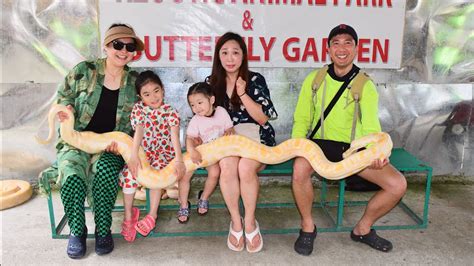 보홀 나비농장 Vlog Youtube