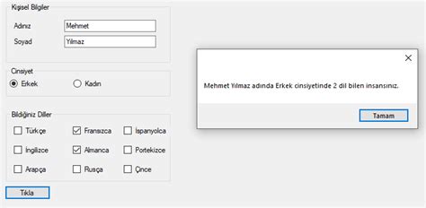 C Checkbox ve RadioButton Kullanımı ZS Yazılım