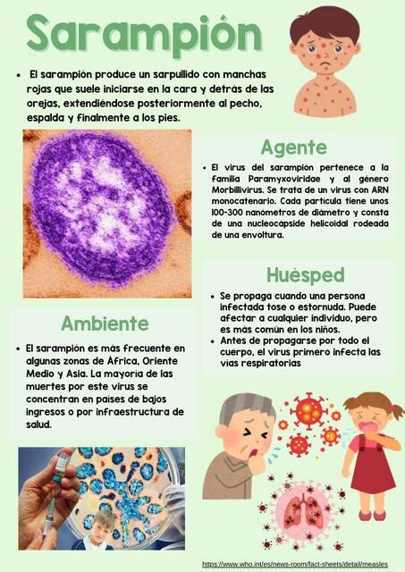 Sarampion Infografia Camila Araujo Udocz