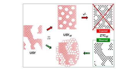 Circumventing The Direct Textural Characterization Of Presumed Hierarchical Zeolites The Case