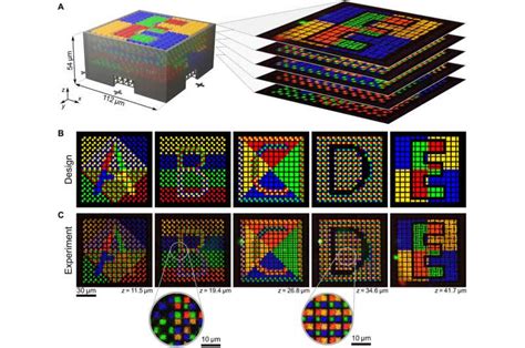 Multimaterial 3 D Laser Microprinting Using An Integrated Microfluidic