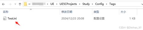 【ue5 C课程系列笔记】12——gameplay标签的基本使用ue5 Gameplaytag Csdn博客