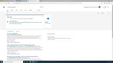 it partners microsoft search