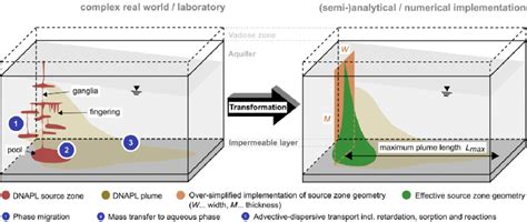 Idealized Concept Of Dnapl Contamination Engelmann Et Al 2019a Download Scientific Diagram