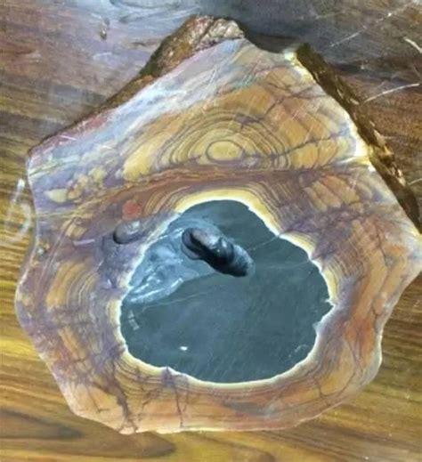 潘惊石与那一群会呼吸的小动物