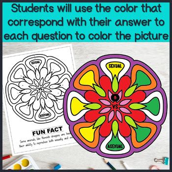 Sexual And Asexual Reproduction Color By Number Biology Review Activity