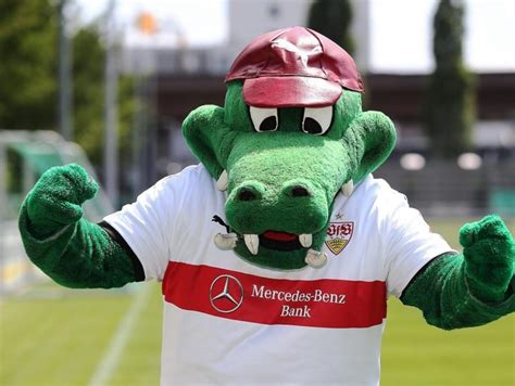 Leibold In Stuttgart Kennt Er Nur Das Maskottchen