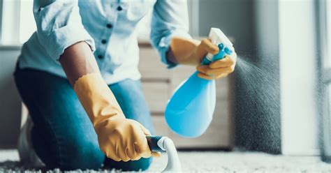 Як швидко почистити килим на підлозі 3 кращих способи