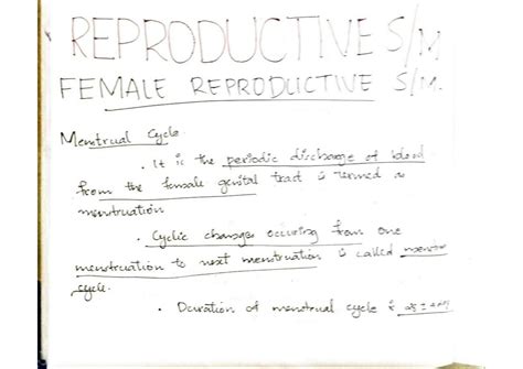SOLUTION Reproductive System Notes Physiology Studypool