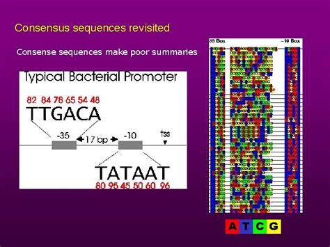 Introduction To Probabilistic Sequence Models Theory And Applications