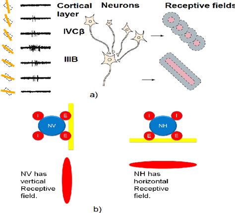 Figure 1 From Neuromorphic Circuit Modeling Directional Selectivity In The Visual Cortex