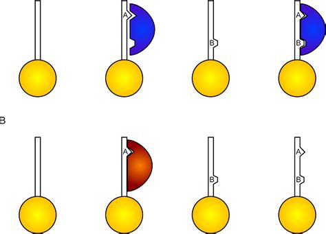 Figure 1 From Combinatorial Complexity In Chromatin Structure And Function Revisiting The