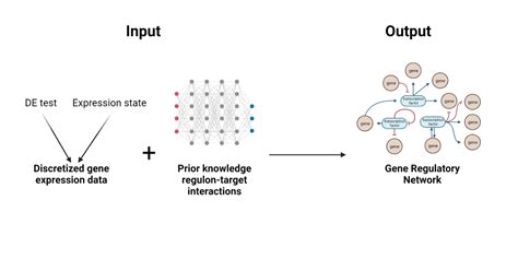 The Computational Biology Group