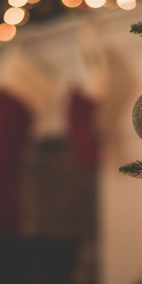 Завантажити шпалери на робочий стіл ПК Ялинку Ялинка Новорічна Ялинка Свята Різдво Гілка