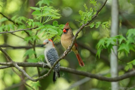 He S Right Behind Me Isn T He R Photos