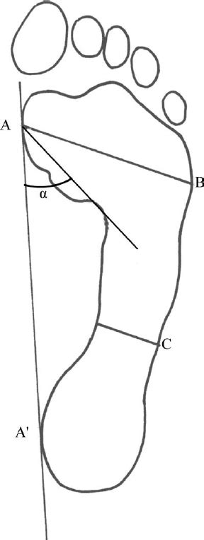 Preparation Process For Calculation Of The Csi And Fpa Angle α Download Scientific Diagram Preparation Process For Calculation Of The Csi And Fpa Angle α Download Scientific Diagram