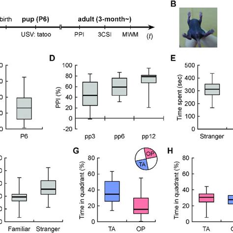 Systematic Behavioral Analyses Using Individually Identified Mice For Download Scientific