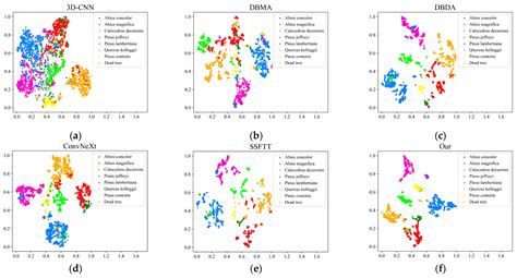 Tree Species Classification From Airborne Hyperspectral Images Using