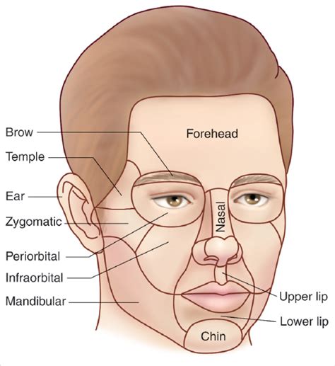 Cheek Cancer And Reconstruction Plastic Surgery Key