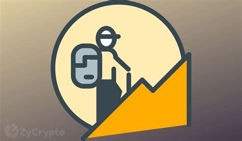 Cardano Network Has The Highest Developer Activity Github Data Reveals Zycrypto