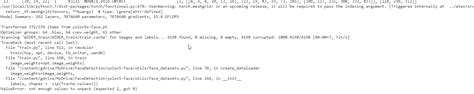 Error When I Start Training Issue Deepcam Cn Yolov Face GitHub