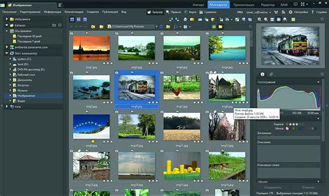 Программа 81 фото