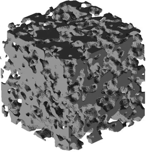 Stochastic Reconstruction Of The Microstructure Of Equilibrium Form Snow And Computation Of