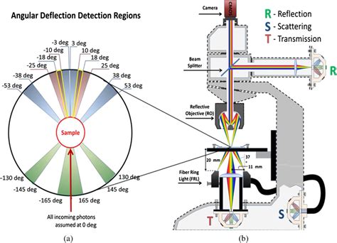 A Diagram Of Angular Lobes With An Overlapping Region Indicated By Download Scientific
