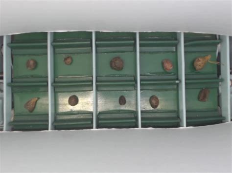 Kernel Separator Computer Vision Dataset By Kernel Separator