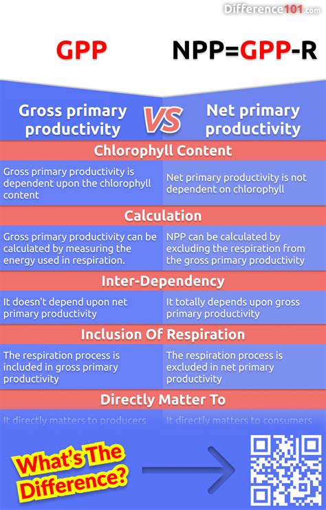 Gross Primary Productivity Vs Net Primary Productivity 5 Key Differences Pros And Cons Faqs