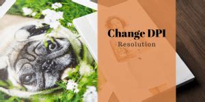 How To Change DPI Resolution In Photoshop Quick Steps