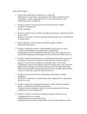 Study Guide Chapter Docx Study Guide Chapter Discuss Why Membranes Are Important To A