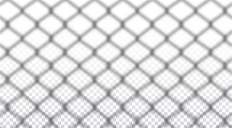 벽에 현실적인 투명 드롭 그림자 사진 디자인 프리젠 테이션에 대한 Rabitz 오버레이 효과 벡터 일러스트레이션 0명에 대한