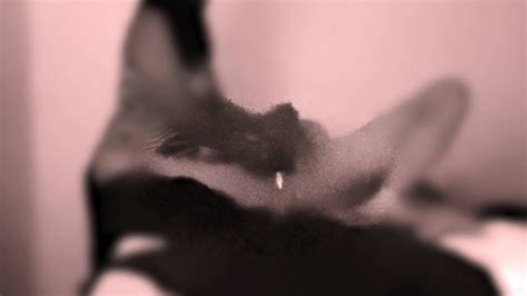 Amp Happy Ending 25 Eporner