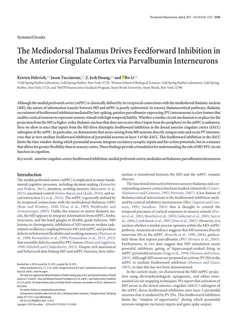 Pdf The Mediodorsal Thalamus Drives Feedforward Inhibition In The Anterior Cingulate Cortex