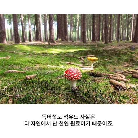 천연 자연 유래 제품의 함정 Learn 오랜 매일 매일 건강해지는 생활