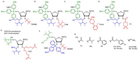 Synthesis Of Nucleobase Modified Rna Oligonucleotides By Post Synthetic Approach