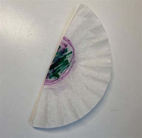 Capillary Action Experiment Virtually BGCMC