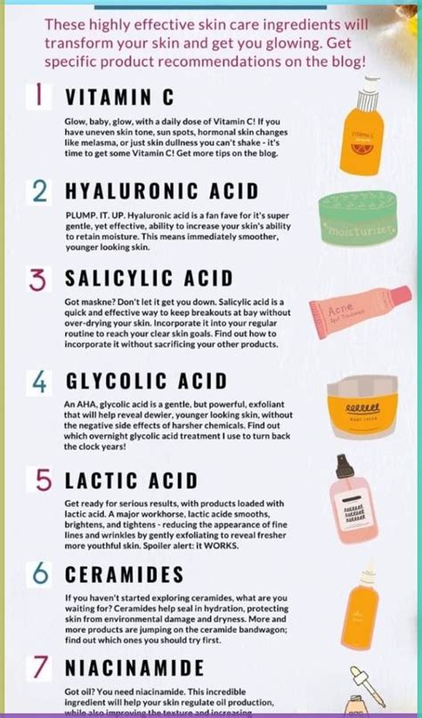 Skincare Ingredients Infographic Basic Skin Care Routine Skin Care
