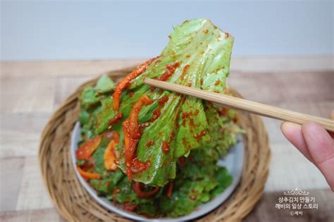 상추 맛있게 먹는법 쌈 무침 겉절이보다 맛있는 상추김치 네이버 블로그