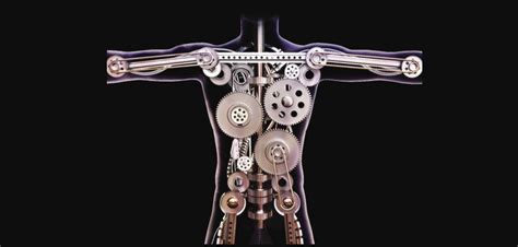 Structure And Function Organ Dissection For Next Generation Teachers