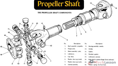 Rear Main Seal Explained What Is It And Its Functions Ml