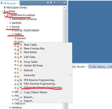 用myeclipse快速搭建hibernate实现数据库访问 喵星兔 博客园