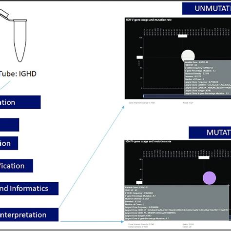 The Workflow Process Of Ngs For Ighv Sequencing Along With The Download Scientific Diagram