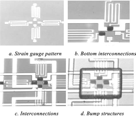 Figure 3 From A Polymer Based Flexible Tactile Sensor For Normal And