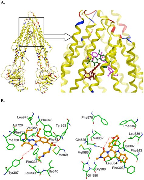 photoaffinity labeling plos one