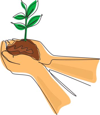 Tree Planting PNGs For Free Download