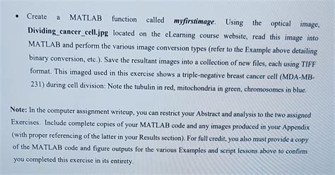 Solved A Create MATLAB Function Called Myfirstimage Chegg