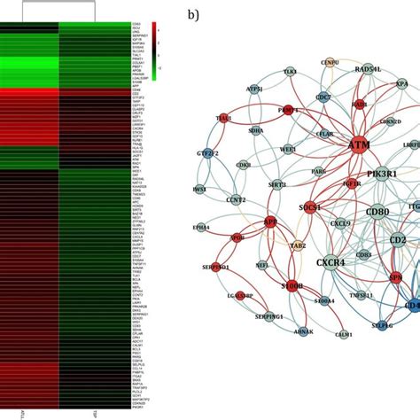 A The Heatmap Of The First 100 Genes According To The Variance Of Download Scientific Diagram